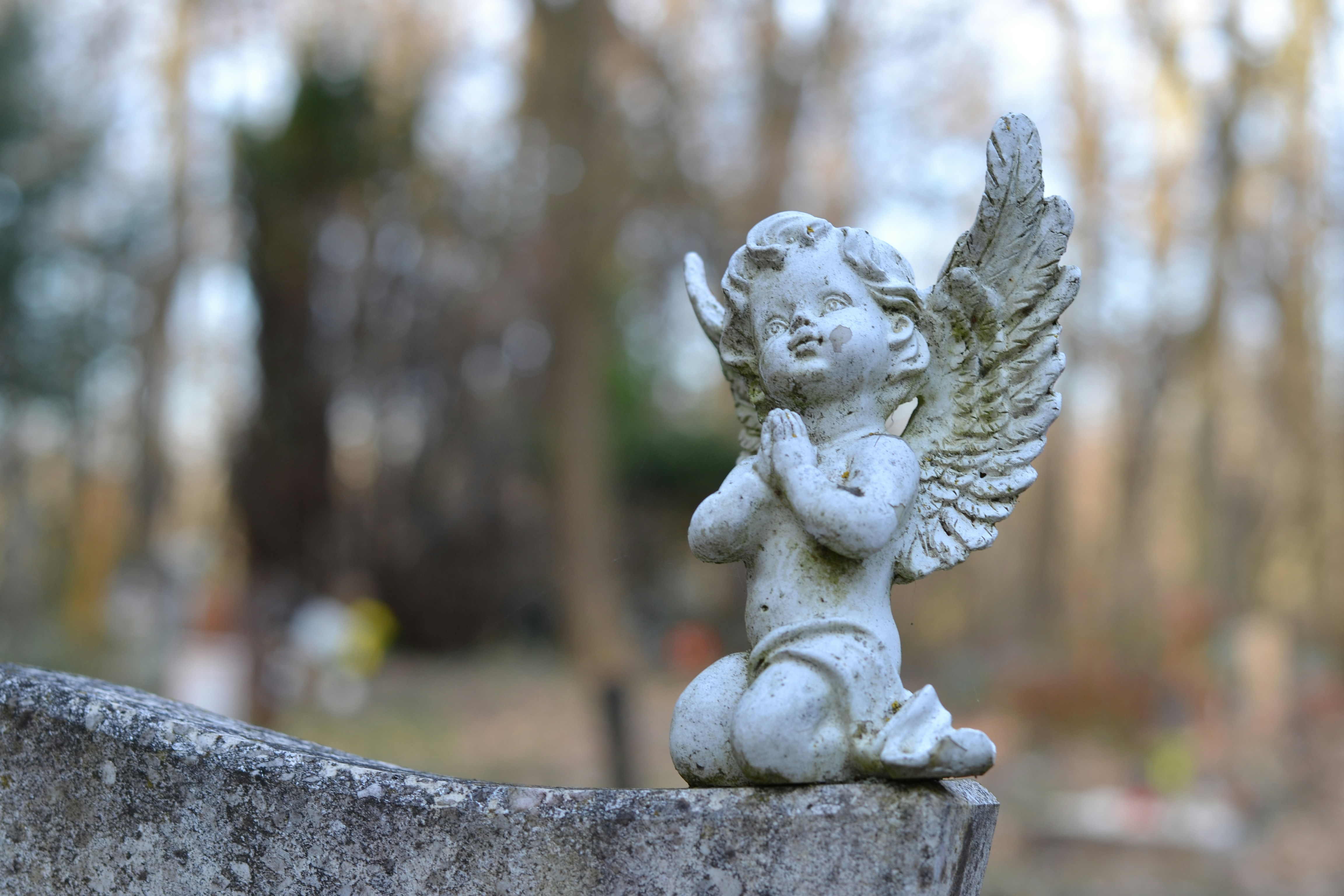 How to Underwrite Angel Track Records in Less than 2500 Words - Cup of Zhou